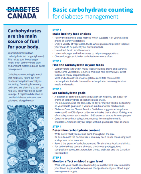 Basic Carbohydrate Counting – Shop Diabetes Canada